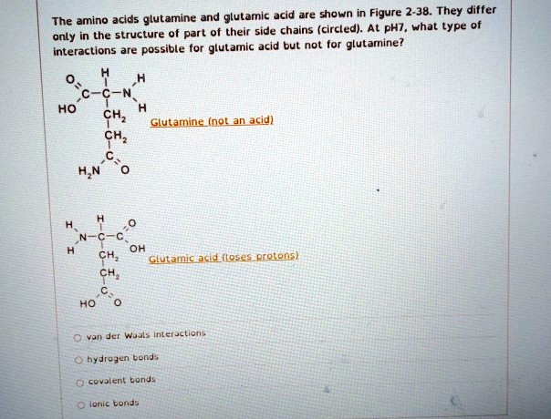 SOLVED: The amino acids glutamine and glulamic acid are shown in Figure ...