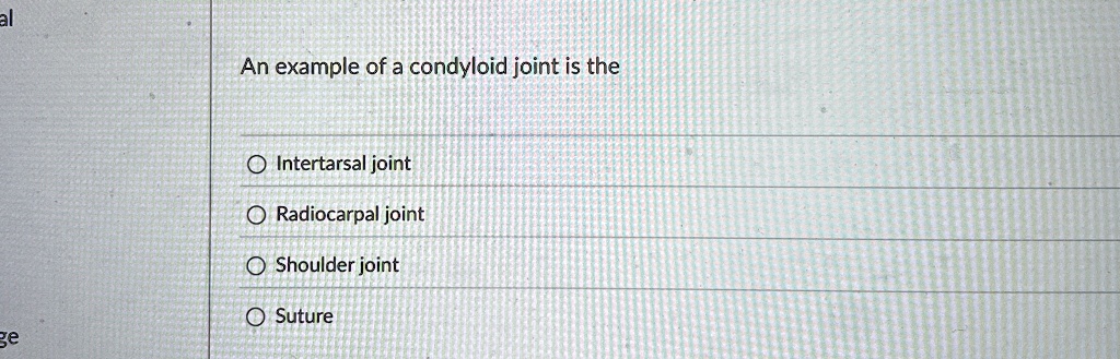 an example of a condyloid joint is the intertarsal joint radiocarpal ...