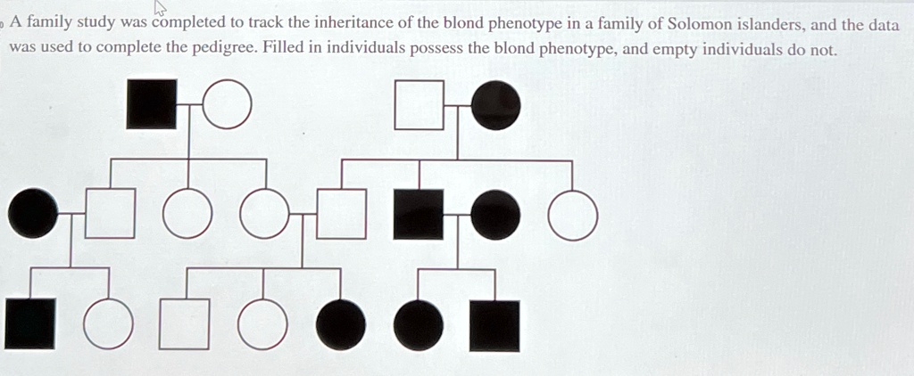 a family study was completed to track the inheritance of the blond ...