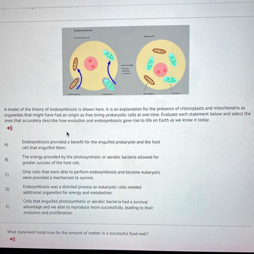 a model of the theory of endosymbiosis is shown here it is an ...