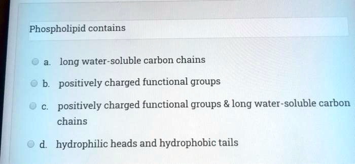phospholipid contains long water soluble carbon chains positively ...