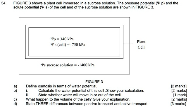 54. FIGURE 3 shows a plant cell immersed in a sucrose solution. The ...