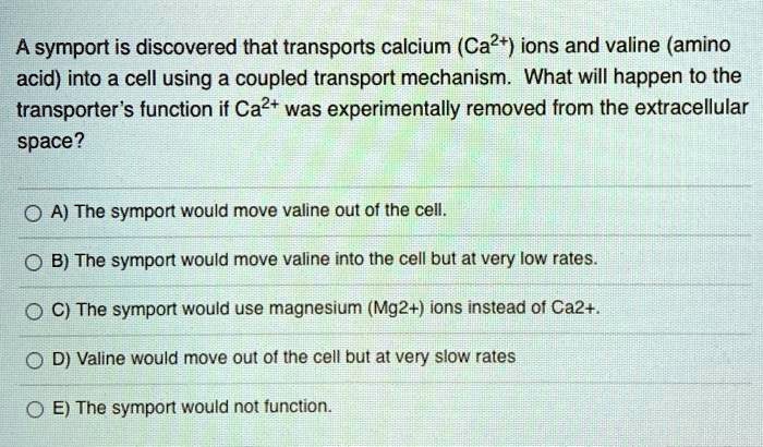 SOLVED:A symport is discovered that transports calcium (Ca2+) ions and ...