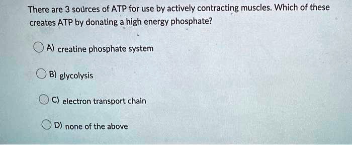 there are 3 sources of atp for use by actively contracting muscles ...