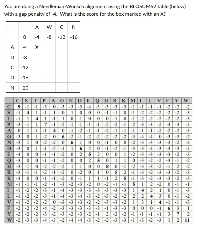 SOLVED: You are doing Needleman-Wunsch alignment using the BLOSUM62 table (below) with a gap ...