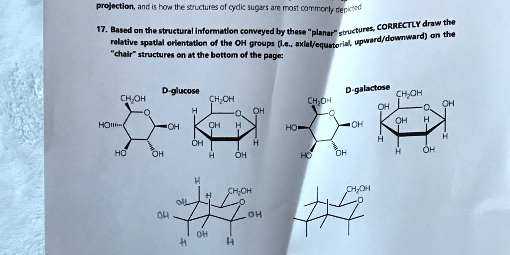 projection, and is how the structures of cyclic sugars are most ...