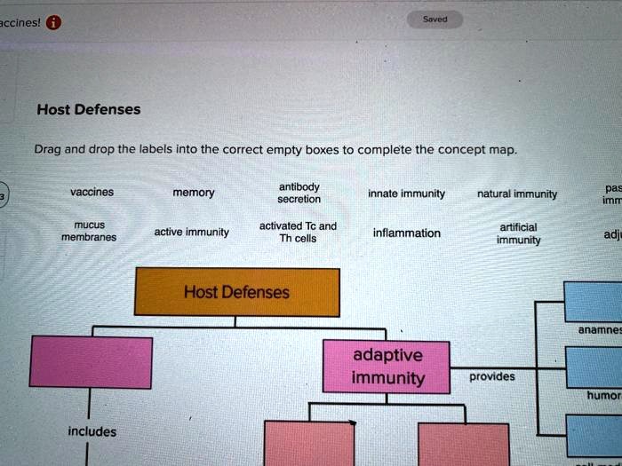 SOLVED: Ced iccinesl Host Defenses Drag and drop the labels into the correct empty boxes to ...