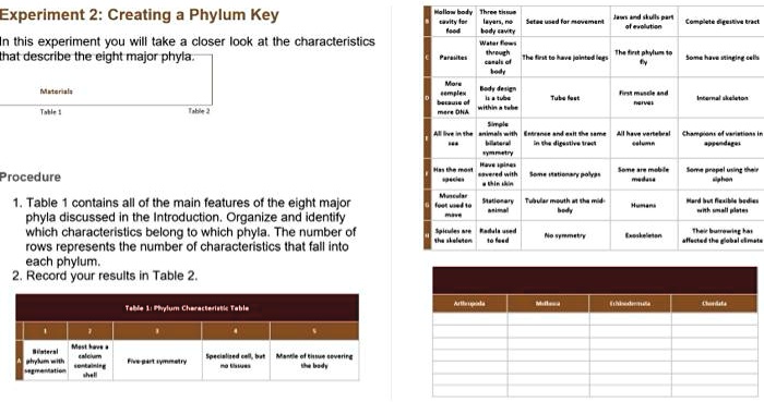 SOLVED: Experiment 2: Creating Phylum Key In this experiment, you will take a closer look at the ...