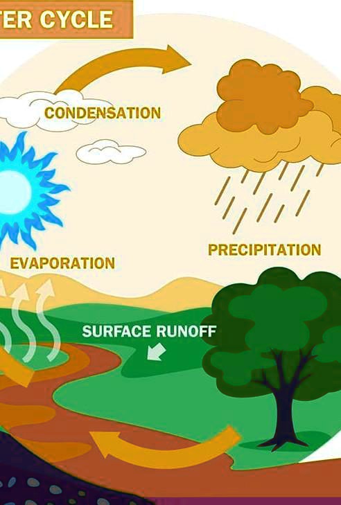 TER CYCLE CONDENSATION EVAPORATION PRECIPITATION SURFACE RUNOFF
