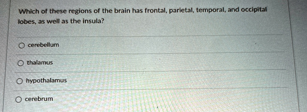 which of these regions of the brain has frontal parietal temporal and ...