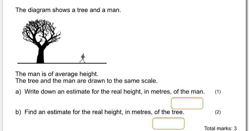 The diagram shows a tree and a man. The man is of average height. The ...