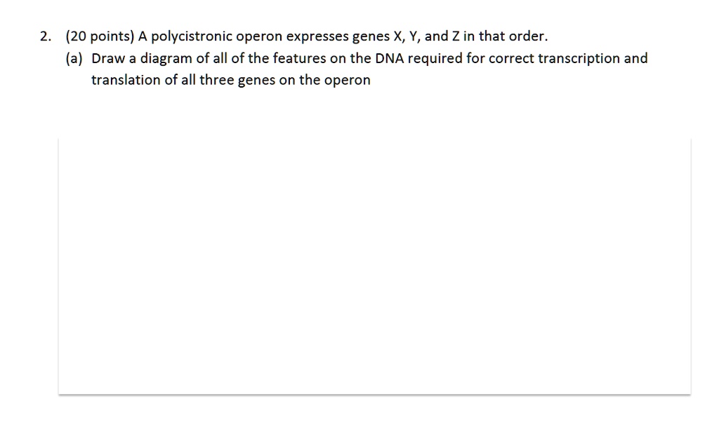 SOLVED: (20 points) A polycistronic operon expresses genes X, Y, and Z ...