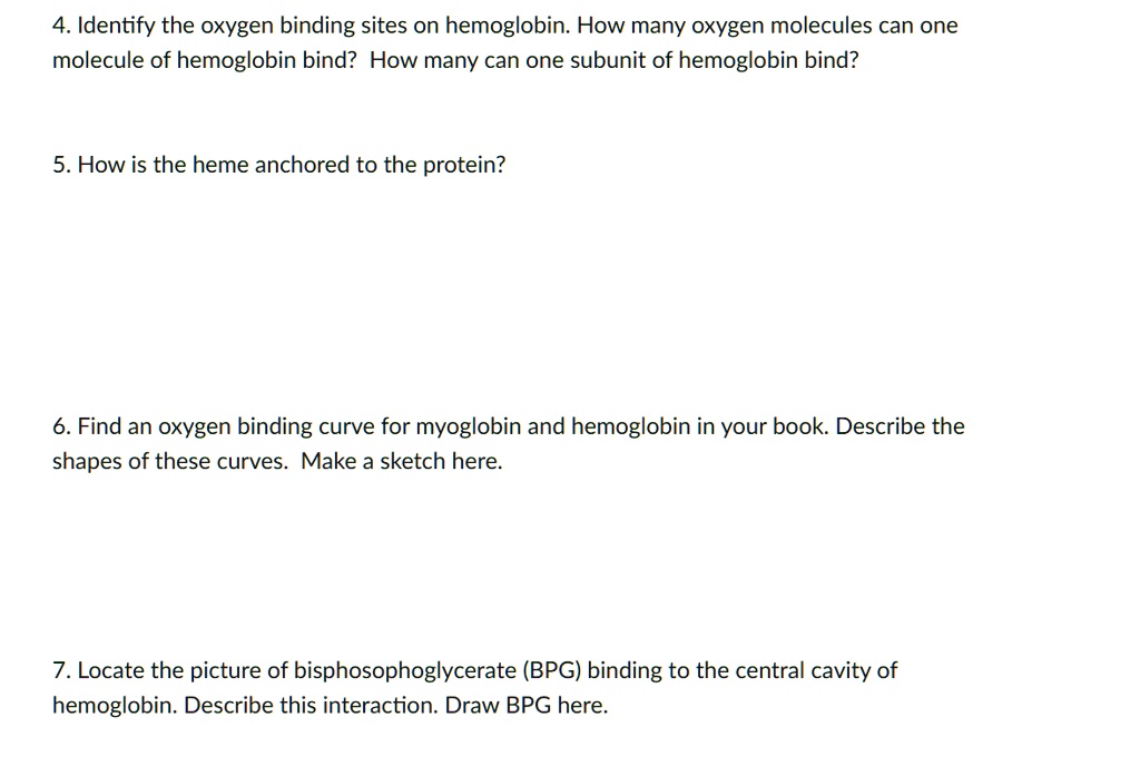 4. Identify the oxygen binding sites on hemoglobin. How many oxygen ...