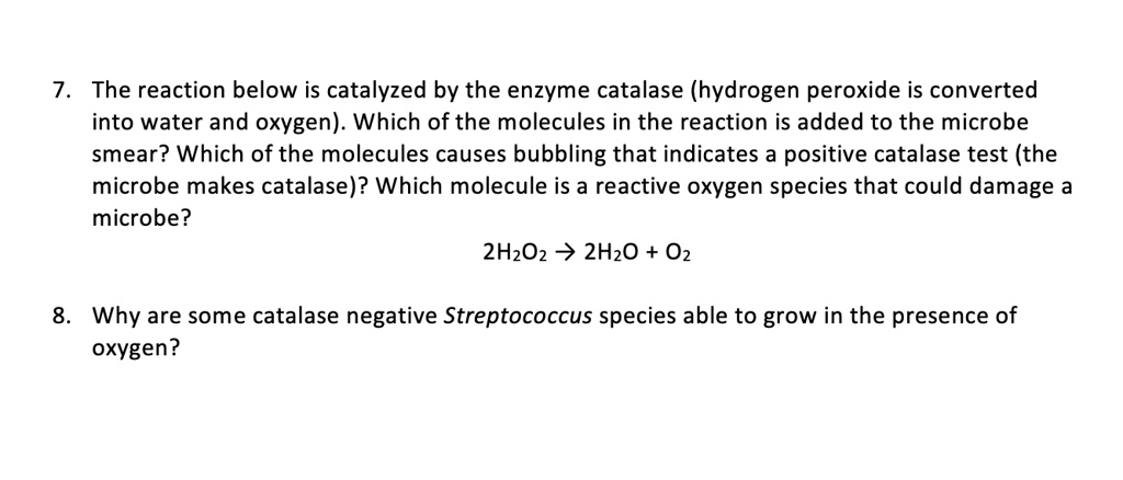 SOLVED: The reaction below is catalyzed by the enzyme catalase ...