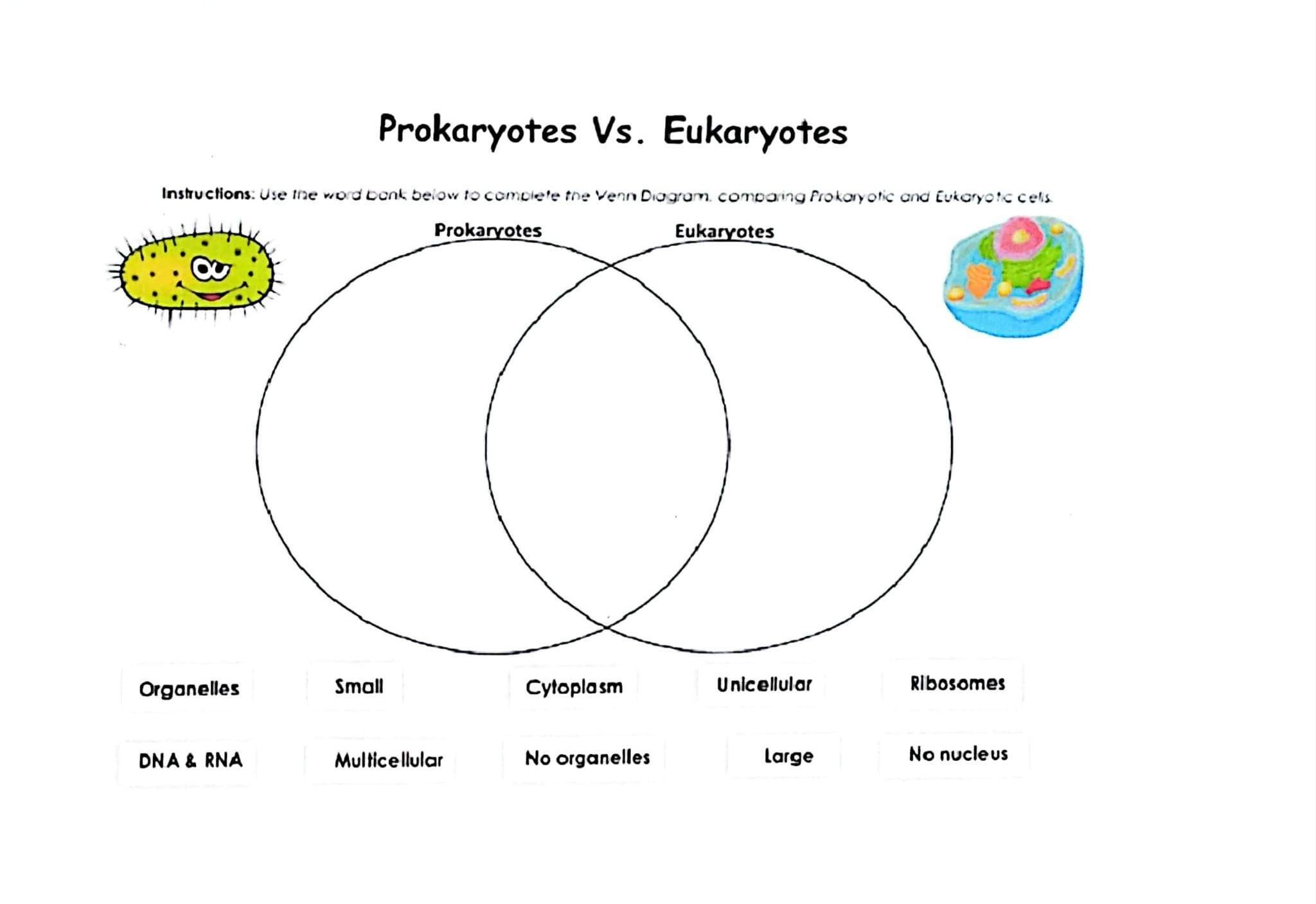 SOLVED: Prokaryotes Vs. Eukaryotes Prokarrotes Eukaryotes Orgonelles ...