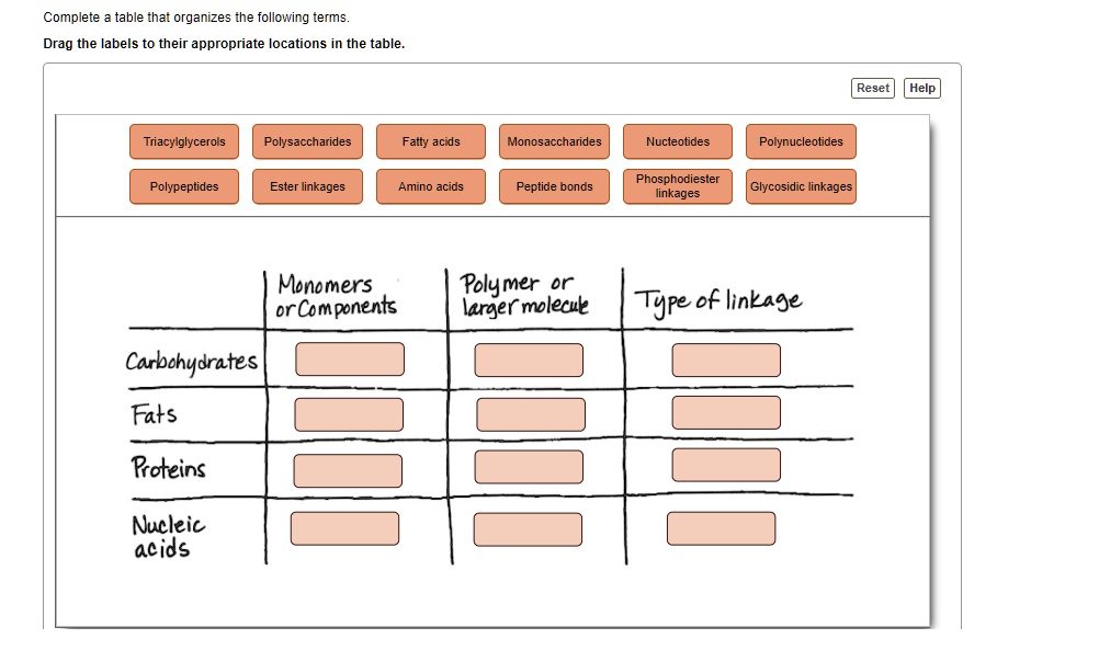 complete table that organizes the following terms drag the labels to their appropriate ocations ...