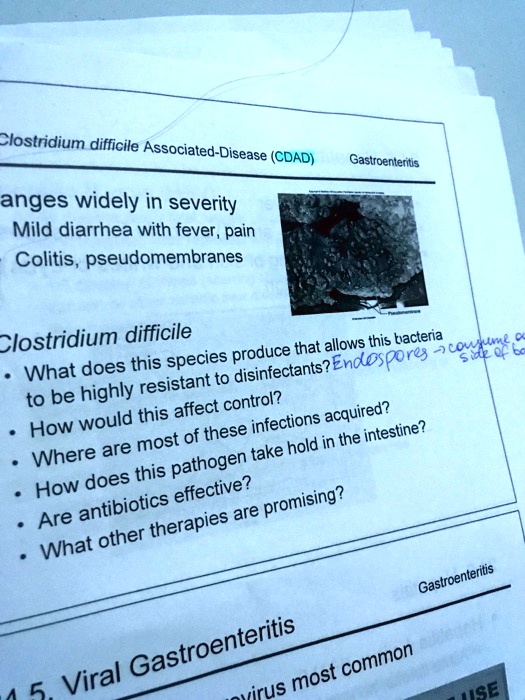SOLVED: Clostridium difficile Associated-Disease (CDAD) Gastroenteritis ...