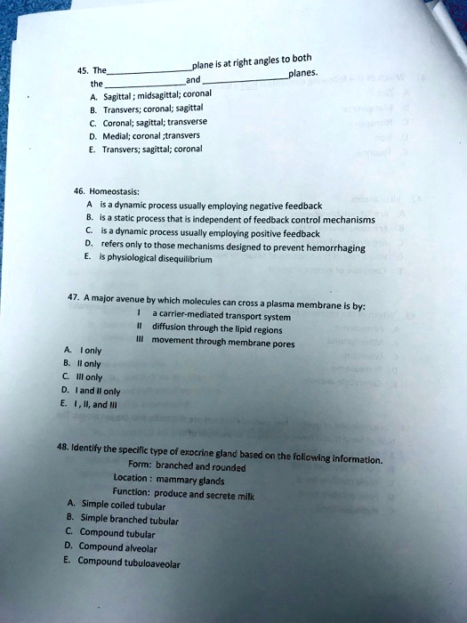 plane right angles both planes sagittal midsagittal coronal transvers ...