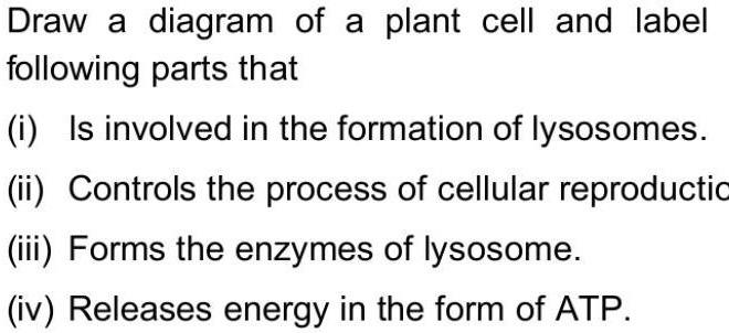 Draw a diagram of a plant cell and label following parts that (i) Is ...