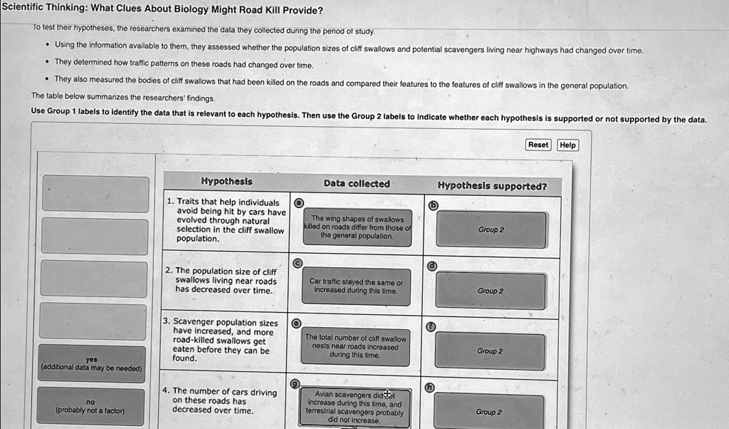 scientific thinking what clues about biology might road kill provide to ...