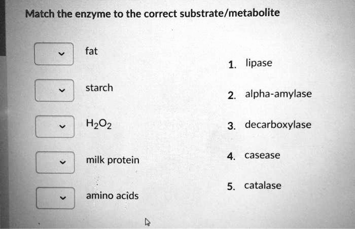SOLVED: Match the enzyme to the correct substrate/metabolite: - fat ...