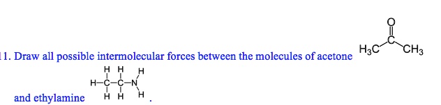 SOLVED: Draw all possible intermolccular forces between the molecules ...