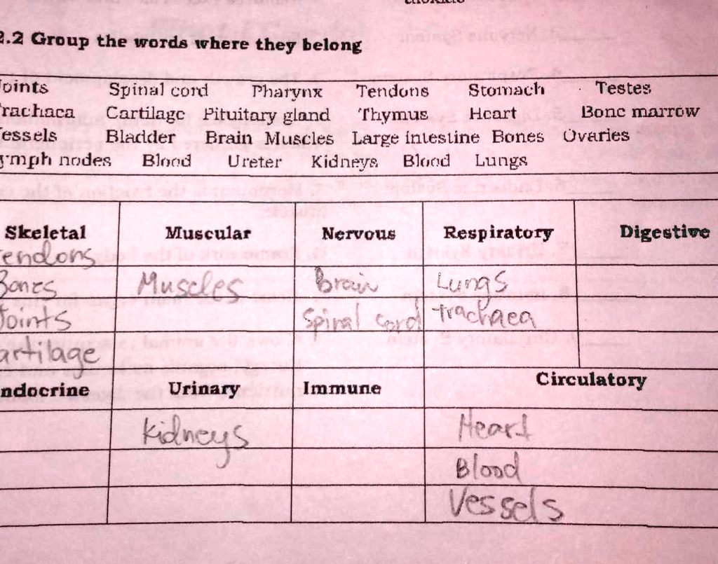 SOLVED: Group the words where they belong. 1.2 Group the words where ...