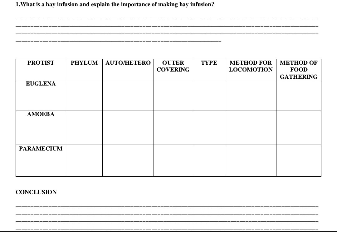 1.What is a hay infusion and explain the importance of making hay ...