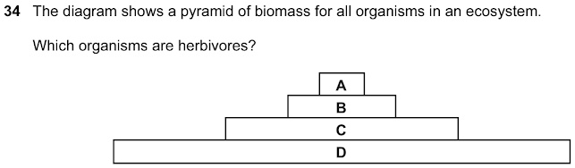 34 The diagram shows a pyramid of biomass for all organisms...