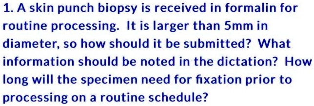 1. A skin punch biopsy is received in formalin for routine processing ...