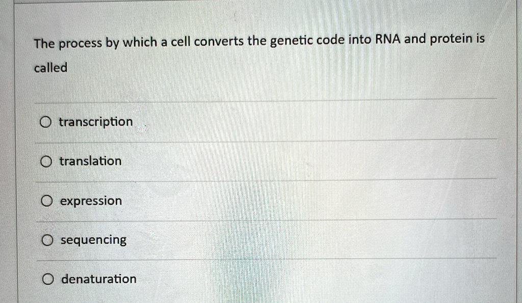 the process by which a cell converts the genetic code into rna and ...