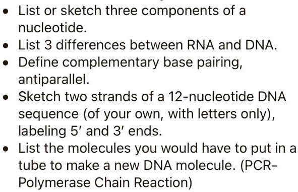 SOLVED: List or sketch three components of a nucleotide: List 3 ...