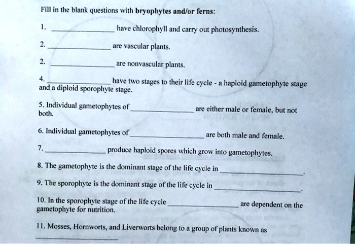 SOLVED: Fill in the blank questions with bryophytes and/or ferns: 1 ...