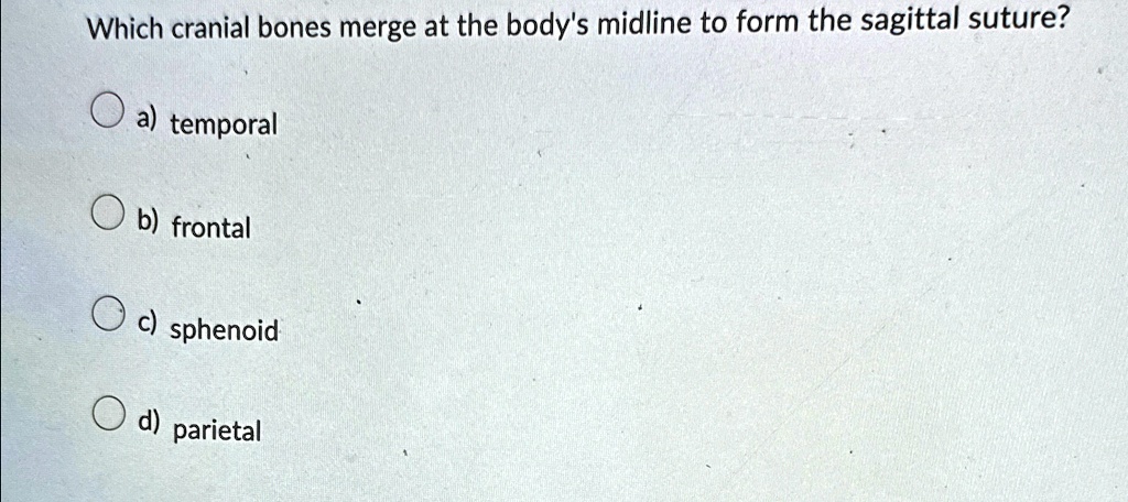 Which cranial bones merge at the body's midline to form the sagittal ...