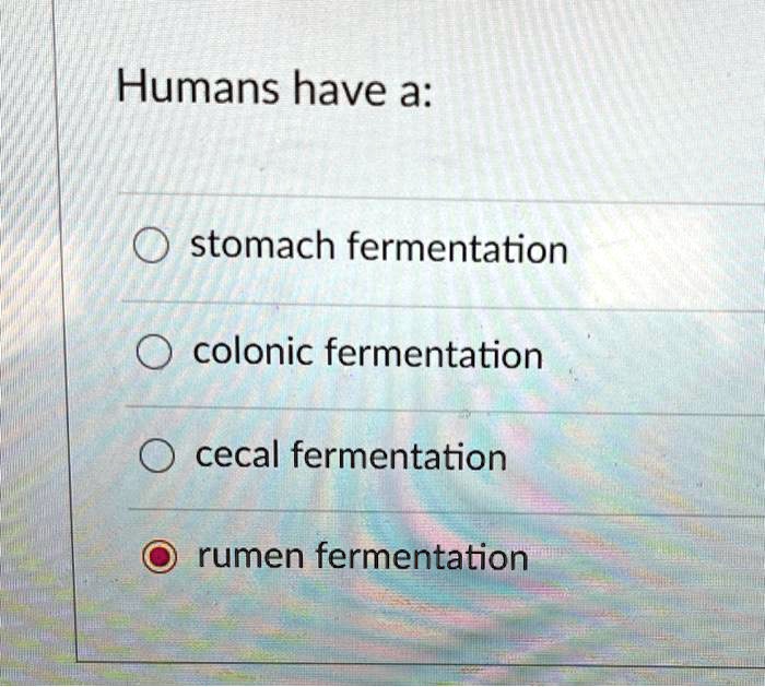 SOLVED:Humans have a: stomach fermentation colonic fermentation cecal ...