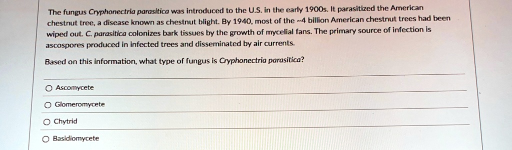the fungus cryphonectria parasitica was introduced to the us in the ...