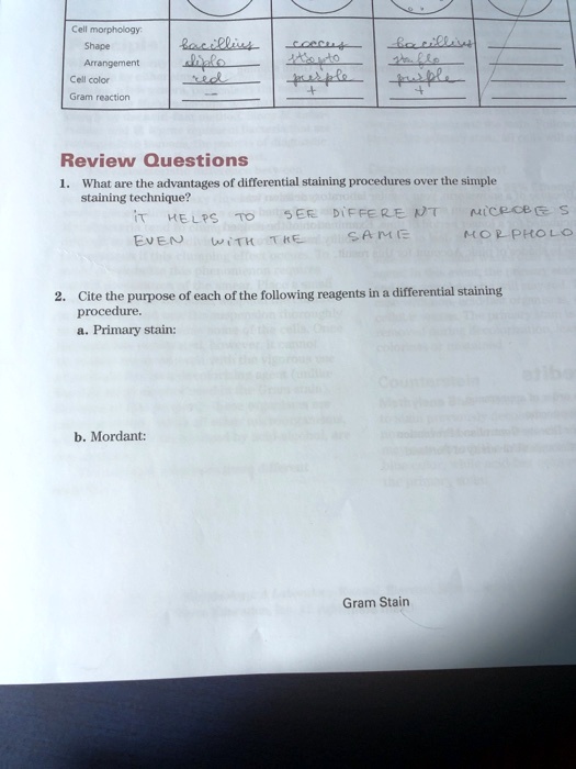 SOLVED: Cell morphc ogy Shace RofPL AAlo 3c LLCAC Jaalto LaufLLA LAe AA ...
