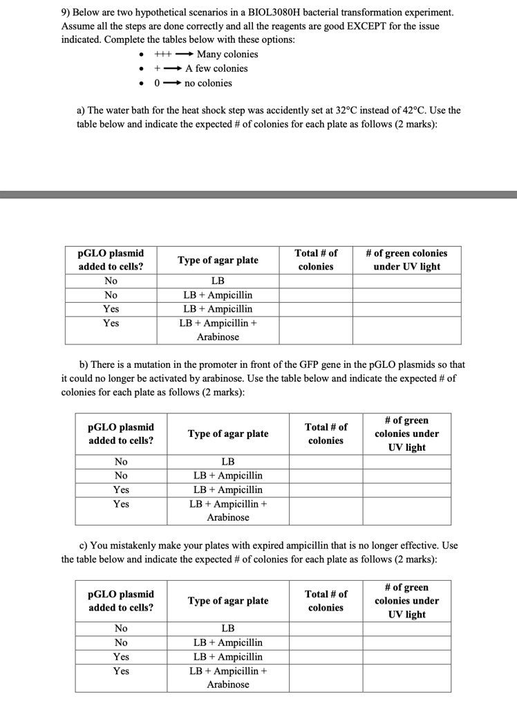 Solved 9 Below Are Two Hypothetical Scenarios In Biol3080 Bacterial