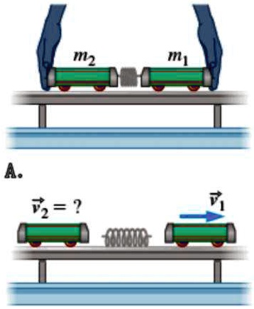 SOLVED: There is a compressed spring between two laboratory carts of masses m1 = 145 g and m2 ...
