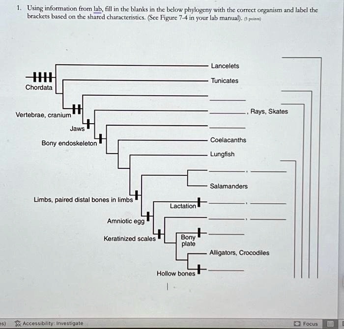 1. Using information from lab, fill in the blanks in the below ...