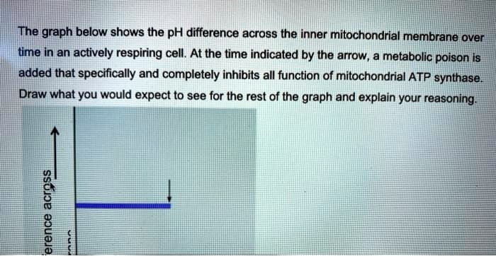 The graph below shows the pH difference across the inner mitochondrial ...