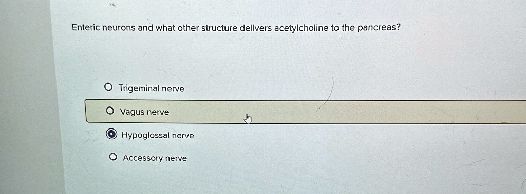 Enteric neurons and what other structure delivers acetylcholine to the ...