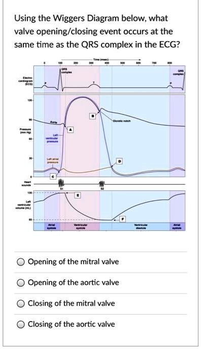 SOLVED: Using the Wiggers Diagram below,what valve opening/closing ... SOLVED: Using the Wiggers Diagram below,what valve opening/closing ...