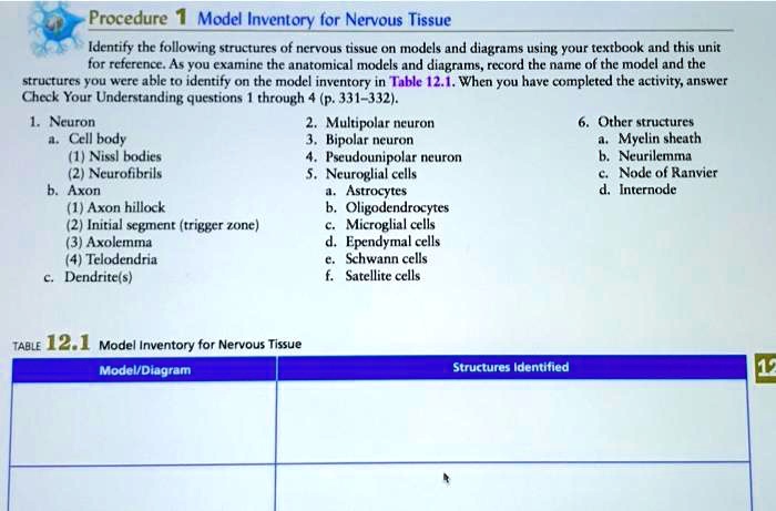 procedure model inventory for nervous tissue dentify the following ...