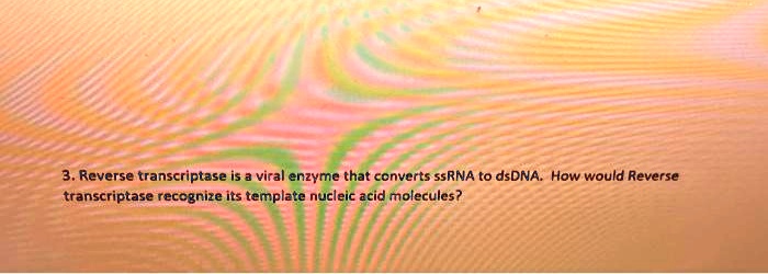 Video Solution 3 Reverse Transcriptase Is A Viral Enzyme That 4203