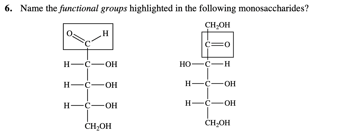 SOLVED: 6. Name the functional groups highlighted in the following monosaccharides?