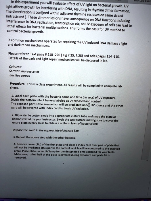 SOLVED: Title: The Effect of UV Light on Bacterial Growth In this ...