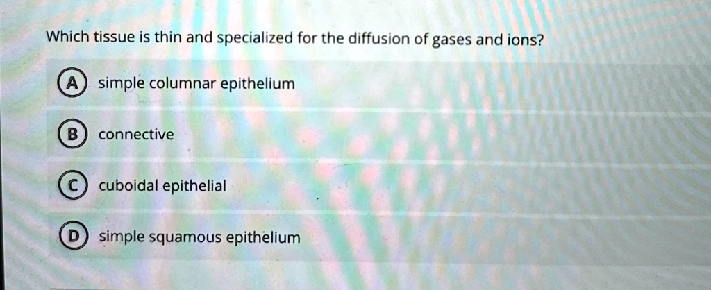 Which tissue is thin and specialized for the diffusion of gases and ions? A simple columnar ...