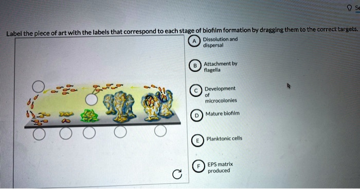 SOLVED: Label thepiece ofartwith the labels that correspond to each ...