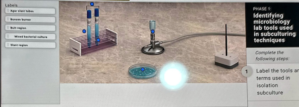 Labels Agar slant tubes Bunsen burner Butt region Mixed bacterial ...